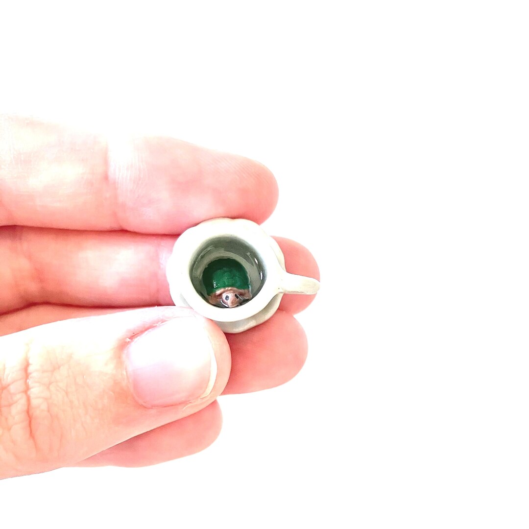 Turtle in a Teacup/ Tiny Turtle/ World's Tiniest Turtle/ Miniature ...