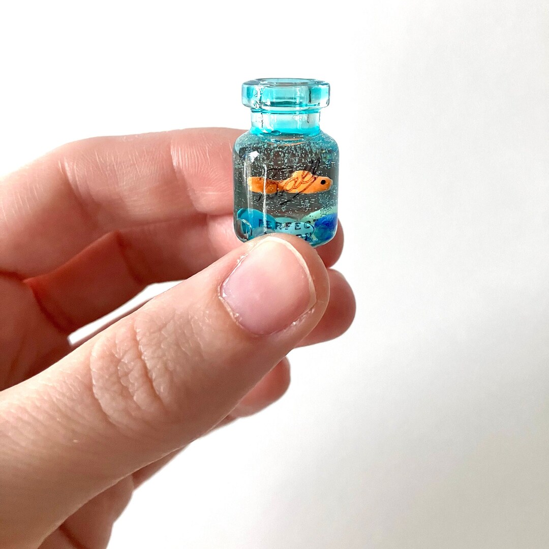 Fish in a Mason Jar/ Tiny Fish/ World's Tiniest Fish/ Miniature ...