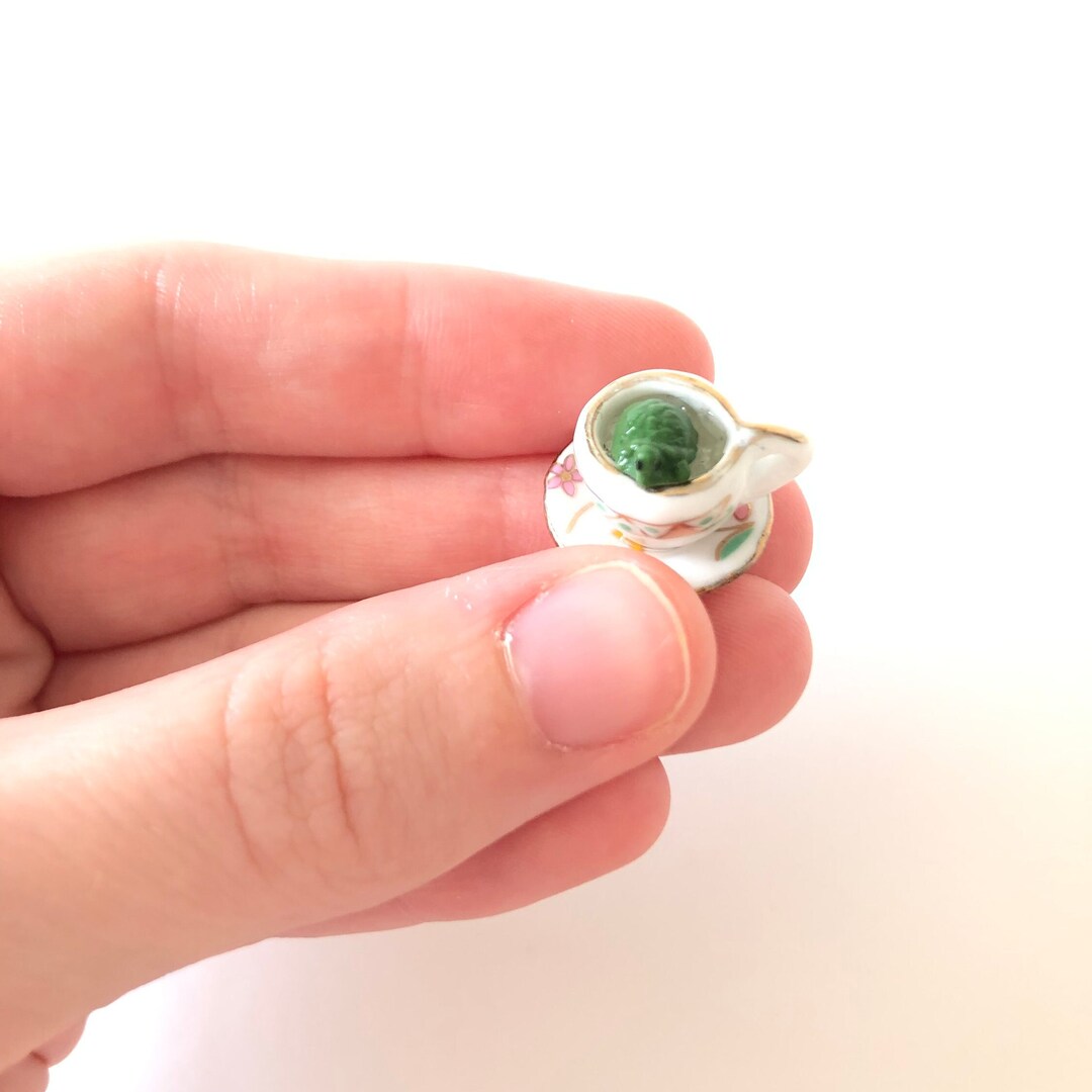 Turtle in a Teacup/ Tiny Turtle/ World's Tiniest Turtle/ Miniature ...