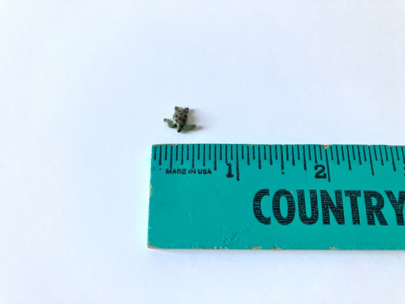 World's Tiniest Sea Turtle/tiny Turtle/ Mini Turtle/ Micro Mini Turtle ...