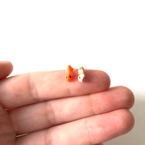 World’s Tiniest Fish/ Tiny Fish/ Mini Fish/ Micro Mini Fish/ Tiny ...