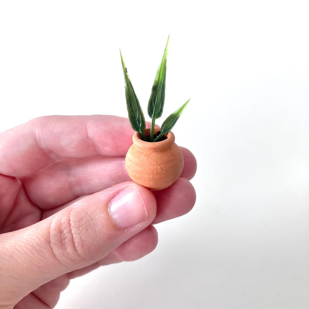 Minimalist Plant in Tiny Terracotta Pot/ Tiny Plant/ Tiny Faux Plant ...