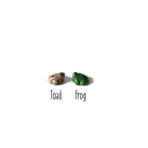 World's Tiniest Frog/ Tiny Frog/ Tiny Toad/ Mini Frog/ Mini Toad ...