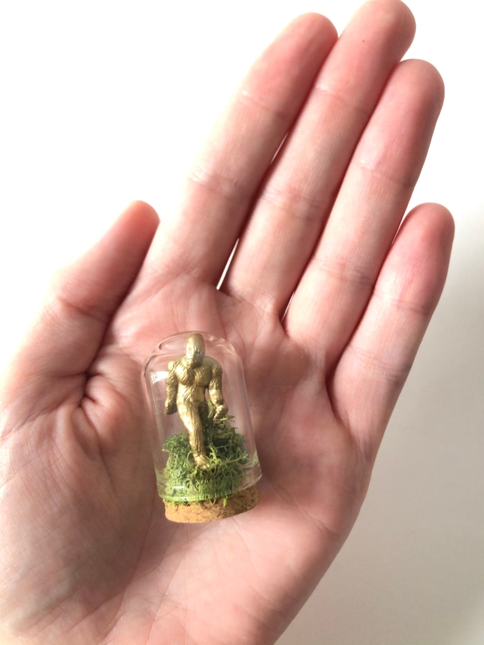 Worlds Tiniest Bigfoot/ Bigfoot in a Dome/bigfoot Planter/ Tiny Bigfoot ...
