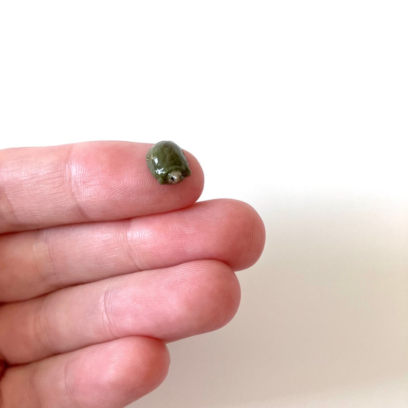 World's Tiniest Turtle/tiny Turtle/ Mini Turtle/ Micro - Etsy