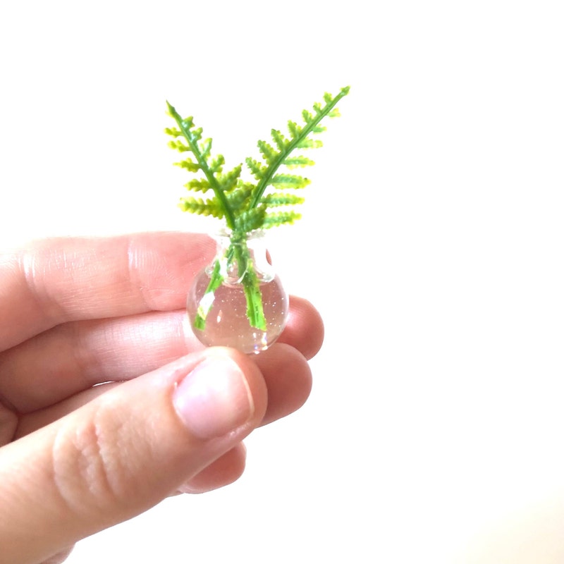 Miniature Ferns - Etsy