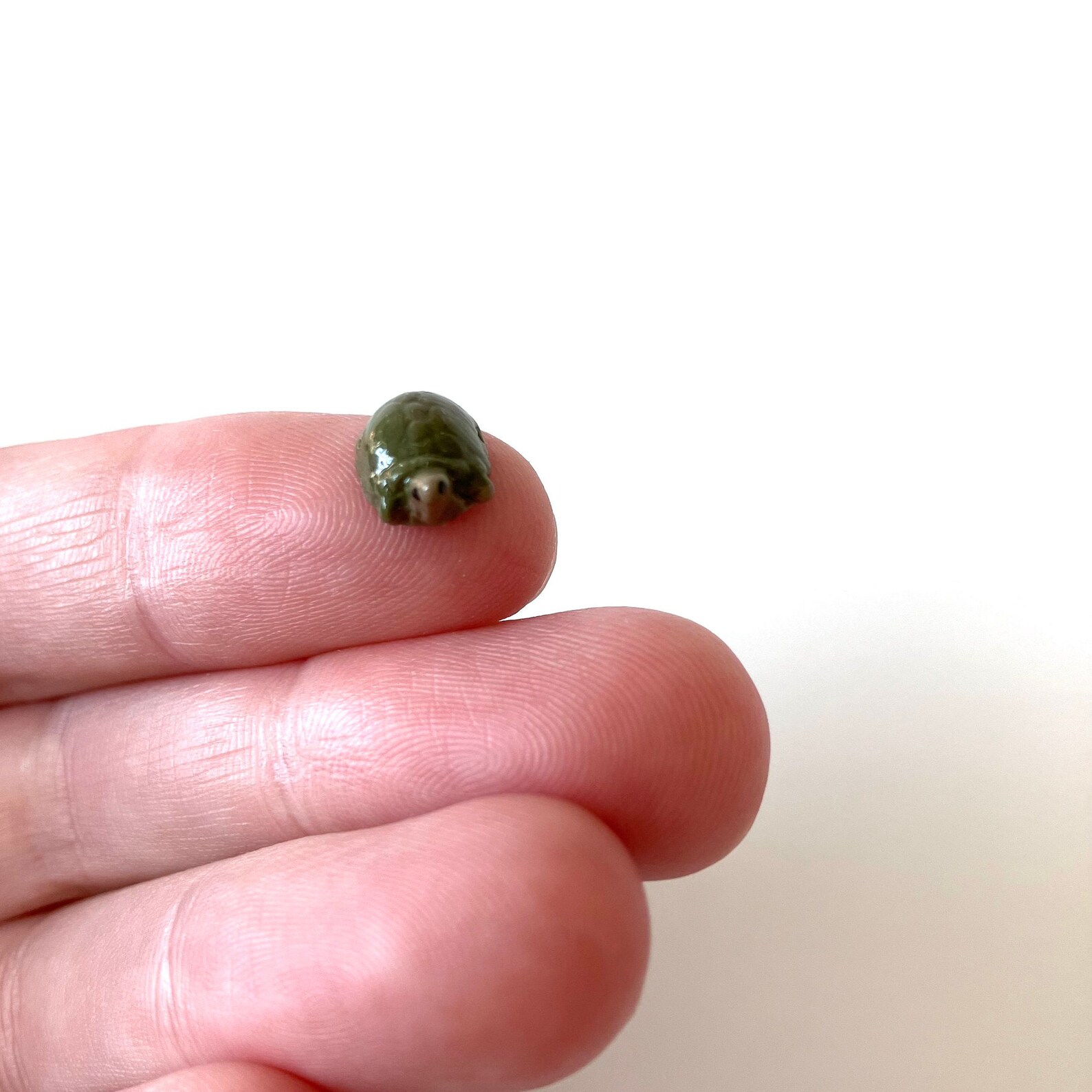 World's Tiniest Turtle/tiny Turtle/ Mini Turtle/ Micro - Etsy