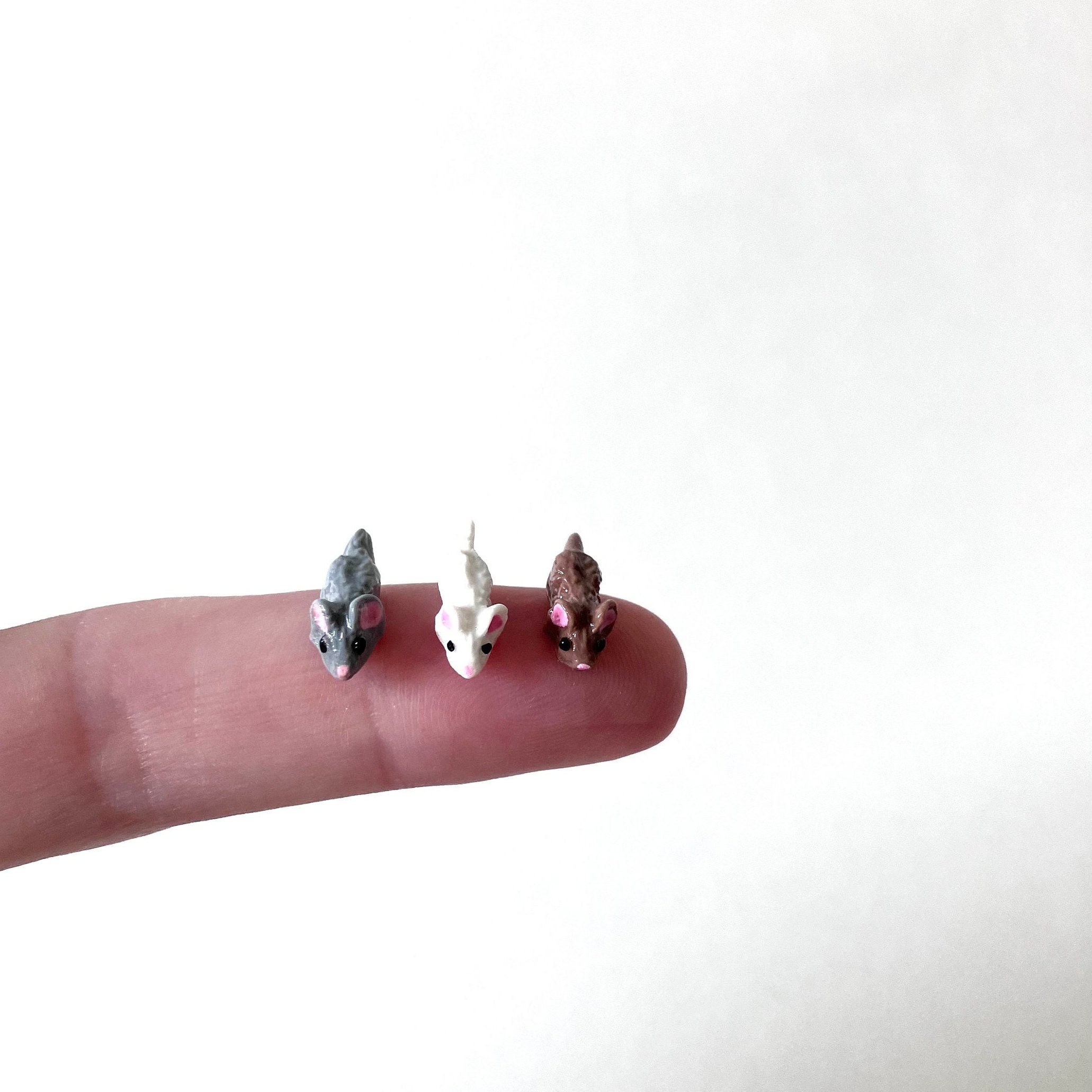 World’s Tiniest Mouse/ Tiny Mouse/ Tiny Mice/ Micro Mini Mouse/ Tiny ...