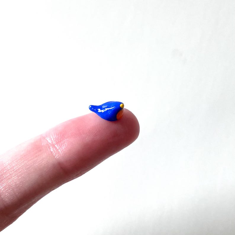 World’s Tiniest Bird/ Tiny Bluebird/ Miniature Bluebird/ Mini Bird ...