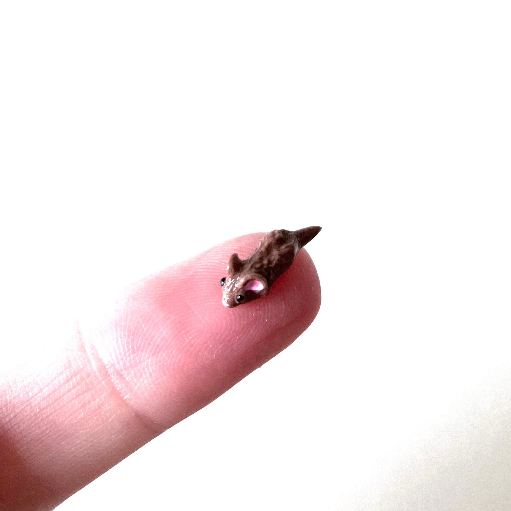 Smallest Mouse In The World