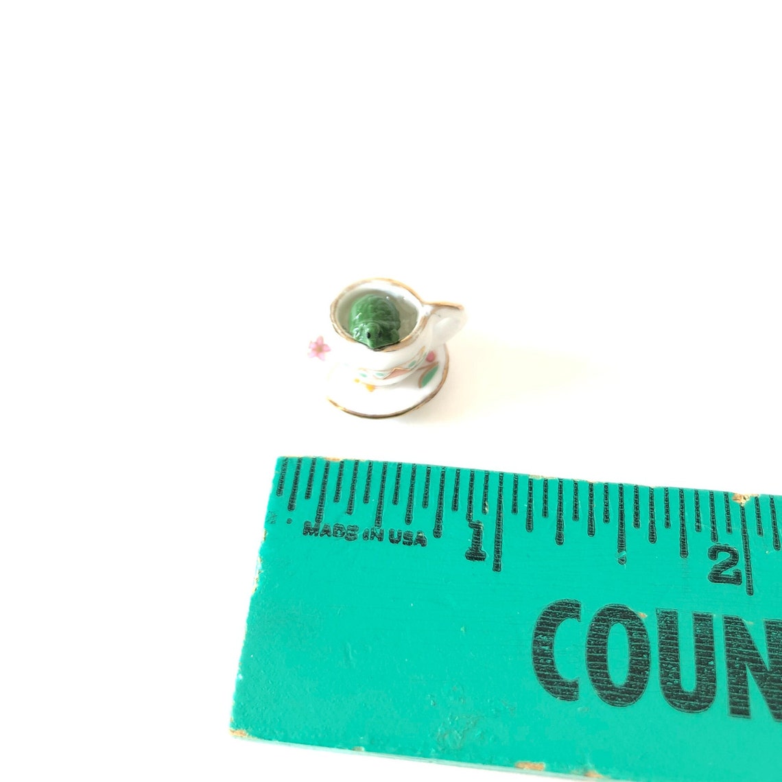 Turtle in a Teacup/ Tiny Turtle/ World's Tiniest Turtle/ - Etsy
