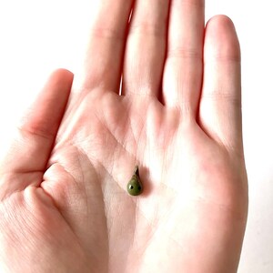 World's Tiniest Tadpole/ Tiny Tadpole/ Pet Tadpole/ Mini Tadpole/ Mini ...