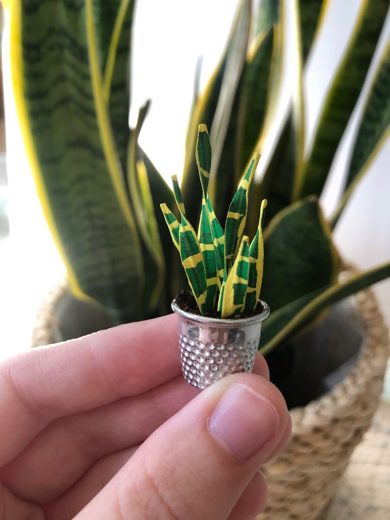 Miniature snake plant/ Tiny snake plant/ Tiny faux plant/ Mini | Etsy