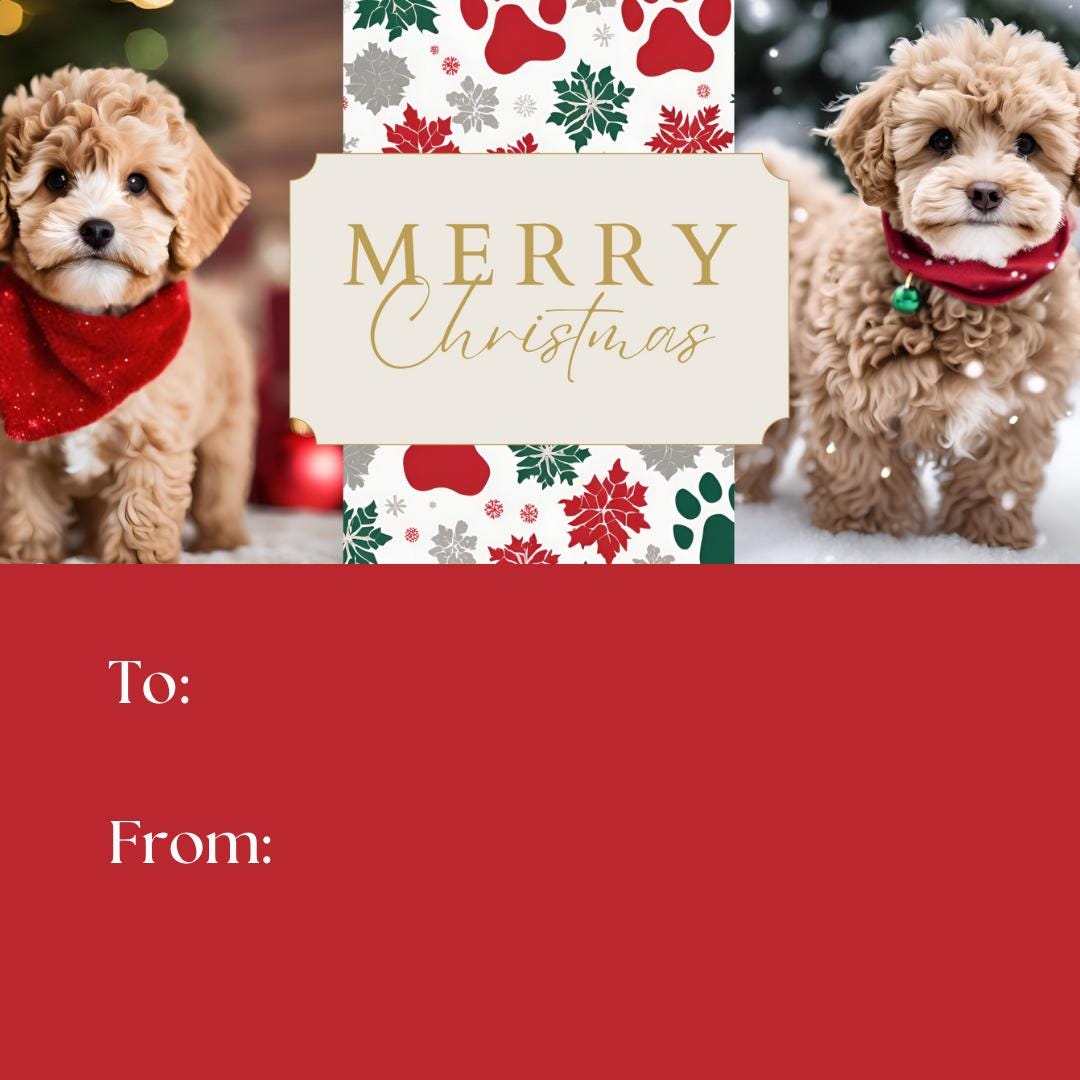 Doodle Maltipoo Christmas Gift Label - Etsy