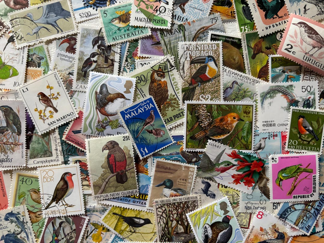 Birds Lot of 75 U.S. and Worldwide Postage Stamps With Birds for Art ...