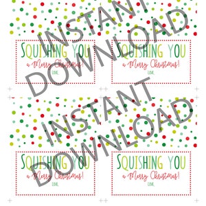 Squishing You A Merry Christmas Topper | Squishy Christmas Printable ...