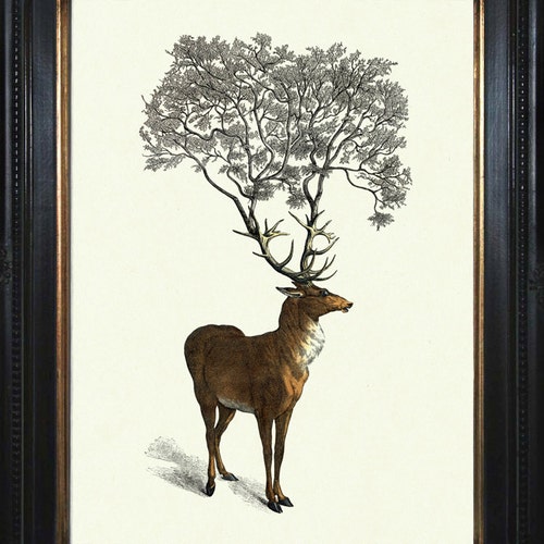 Stag Art Print Tree Growing From Antlers Deer Woods Vintage - Etsy