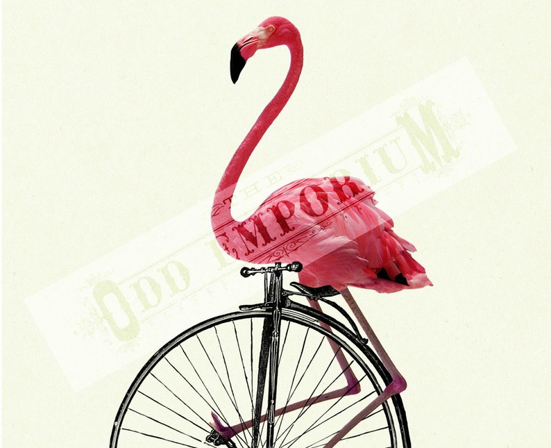 Pink Flamingo Bird Art Print Riding Bike Unicycle Penny Farthing ...