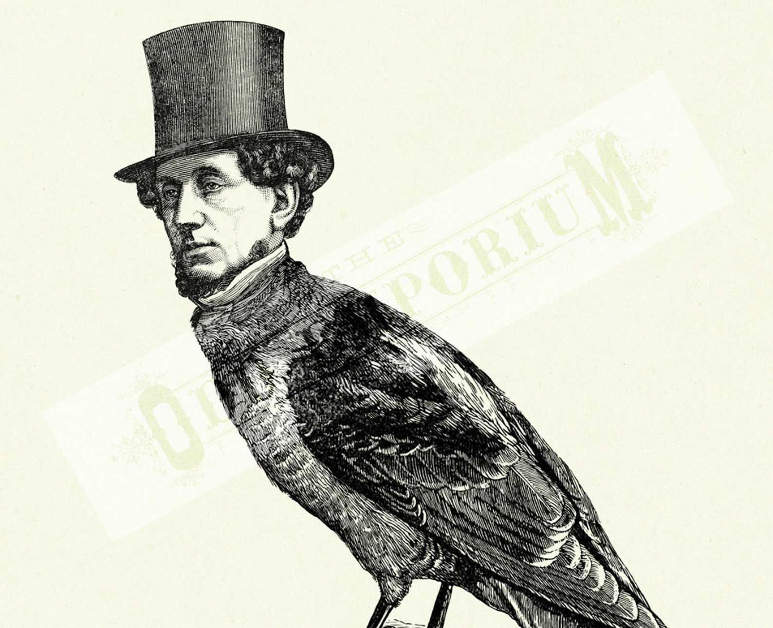 Gentleman Birdman With Top Hat Bird Raven Crow Cryptozoology Victorian ...