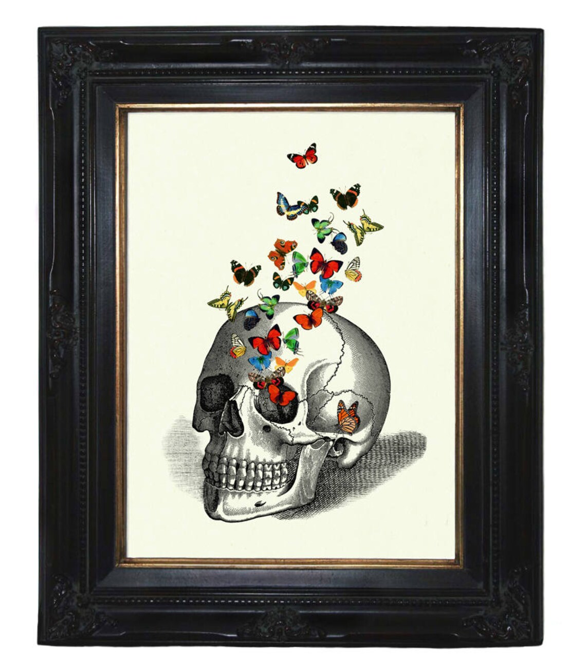 Impression d'art tête de mort humaine papillons anatomie - impression d ...