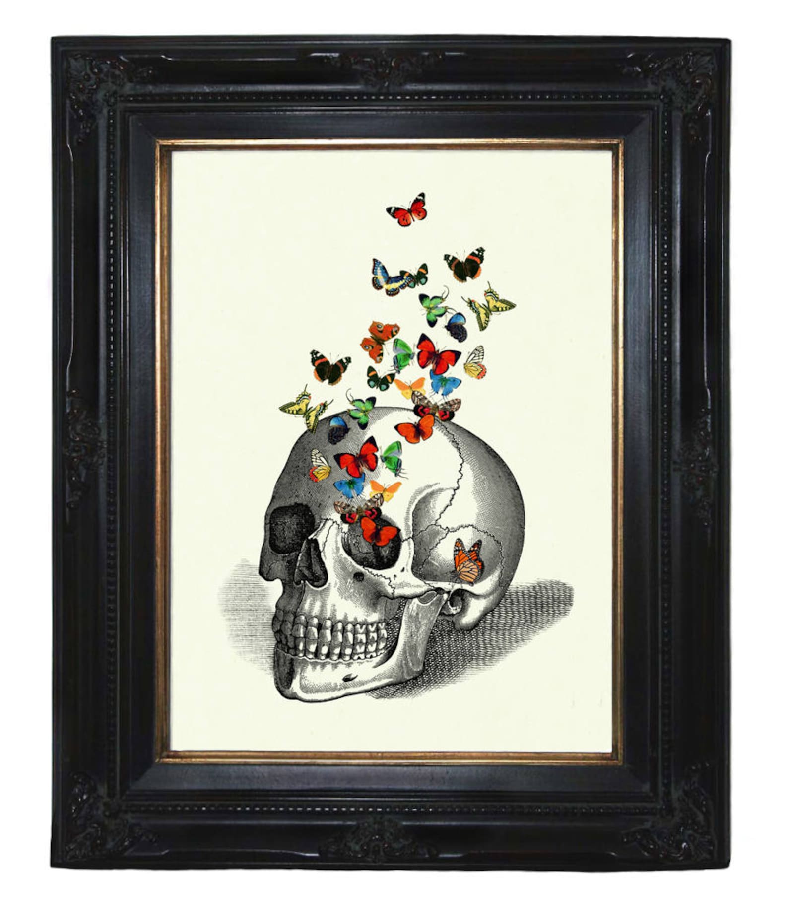 Butterflies Human Skull Art Print Anatomy - Dark Academia Gothic Art ...