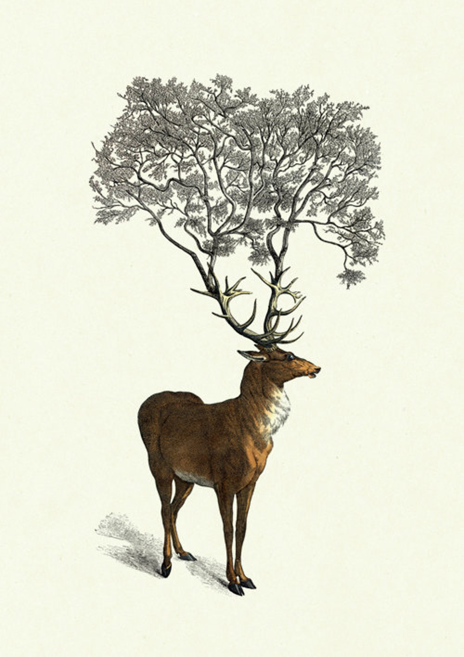 Deer Stag Hannibal Art Print Tree Growing From Antlers - Etsy