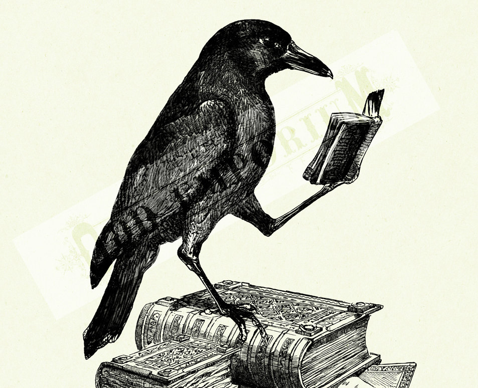 Halloween Raven Art Print Crow Reading a Book Dark Academia Edgar Allan ...