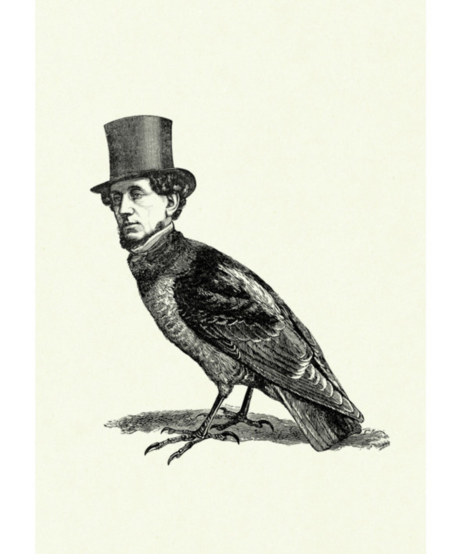 Gentleman Birdman With Top Hat Bird Raven Crow Cryptozoology Victorian ...