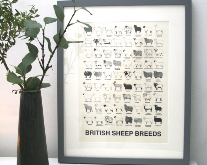 British Sheep Breeds Print - Etsy UK