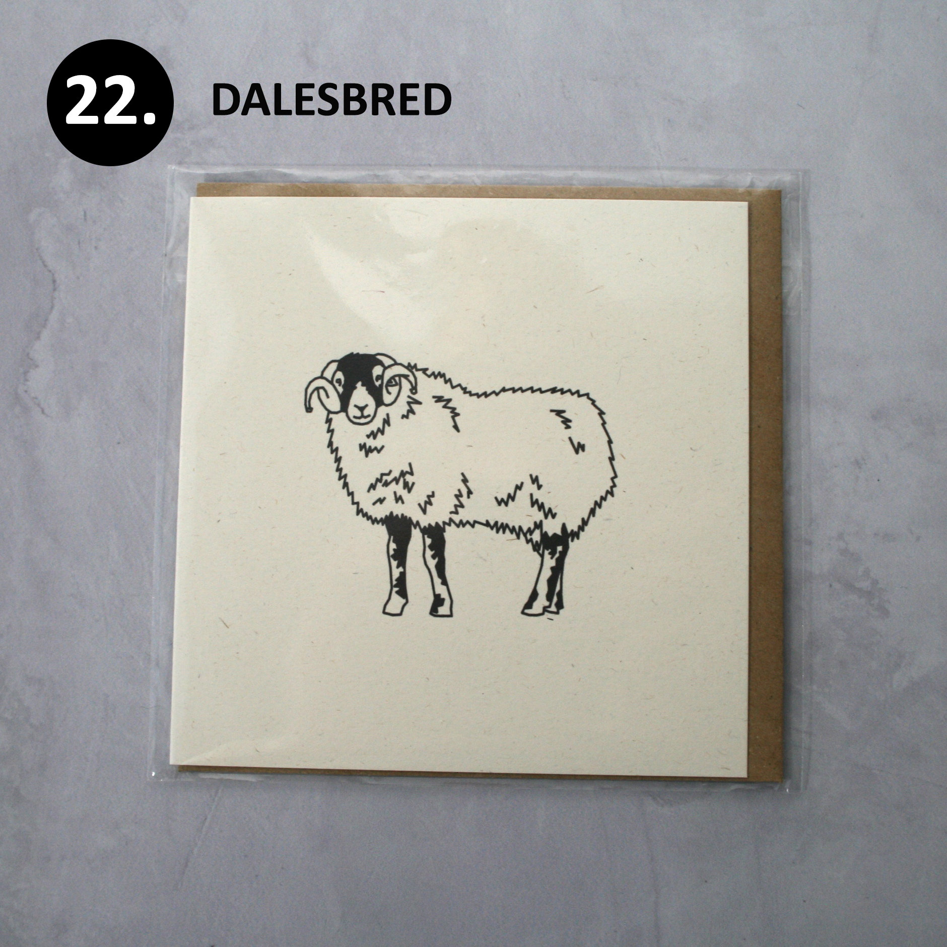Individual British Sheep Breed Card - Etsy