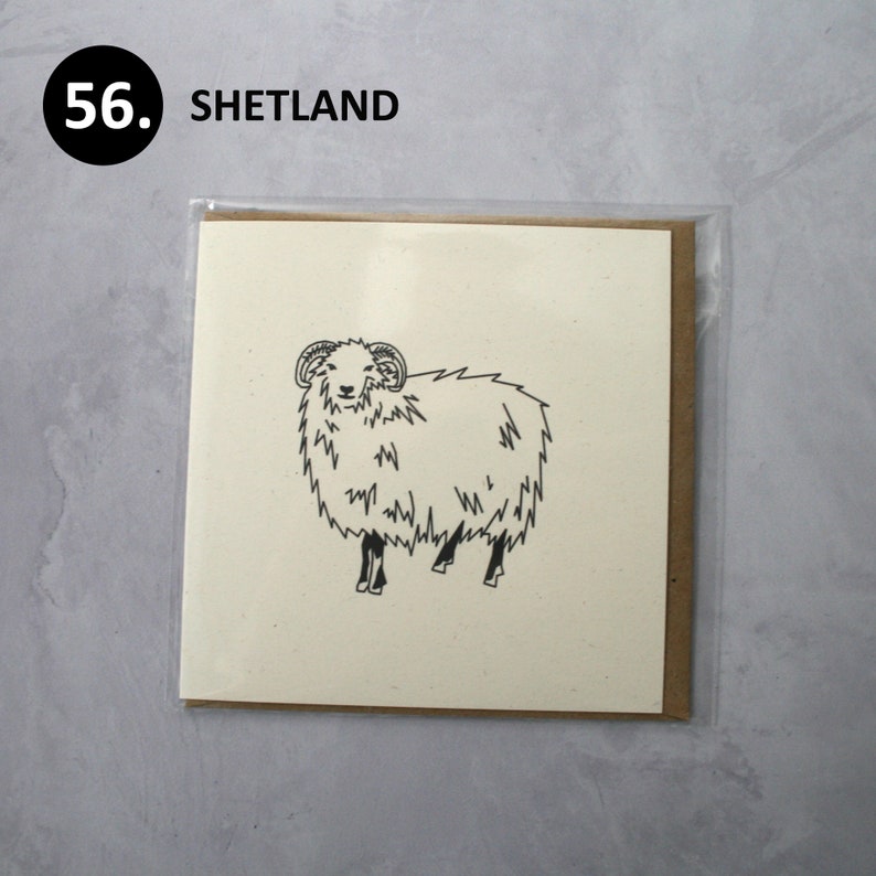 Individual British Sheep Breed Card - Etsy