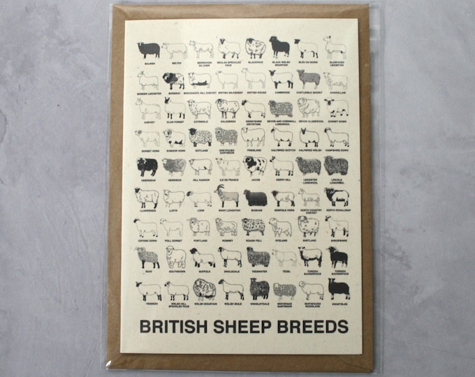 British Sheep Breeds Print - Etsy UK