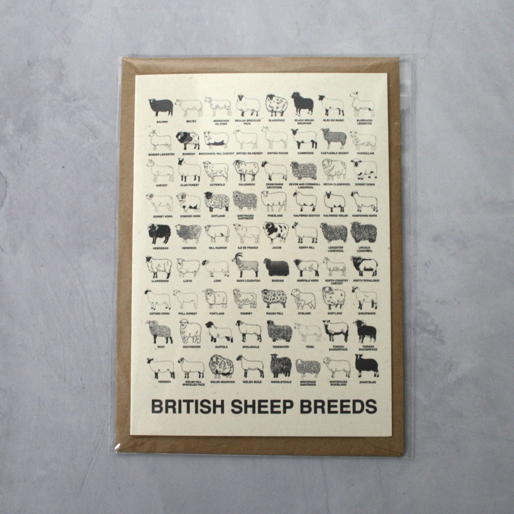 A5 British Sheep Breeds Card - Etsy
