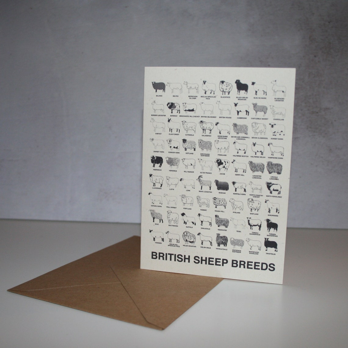 A5 British Sheep Breeds Card - Etsy
