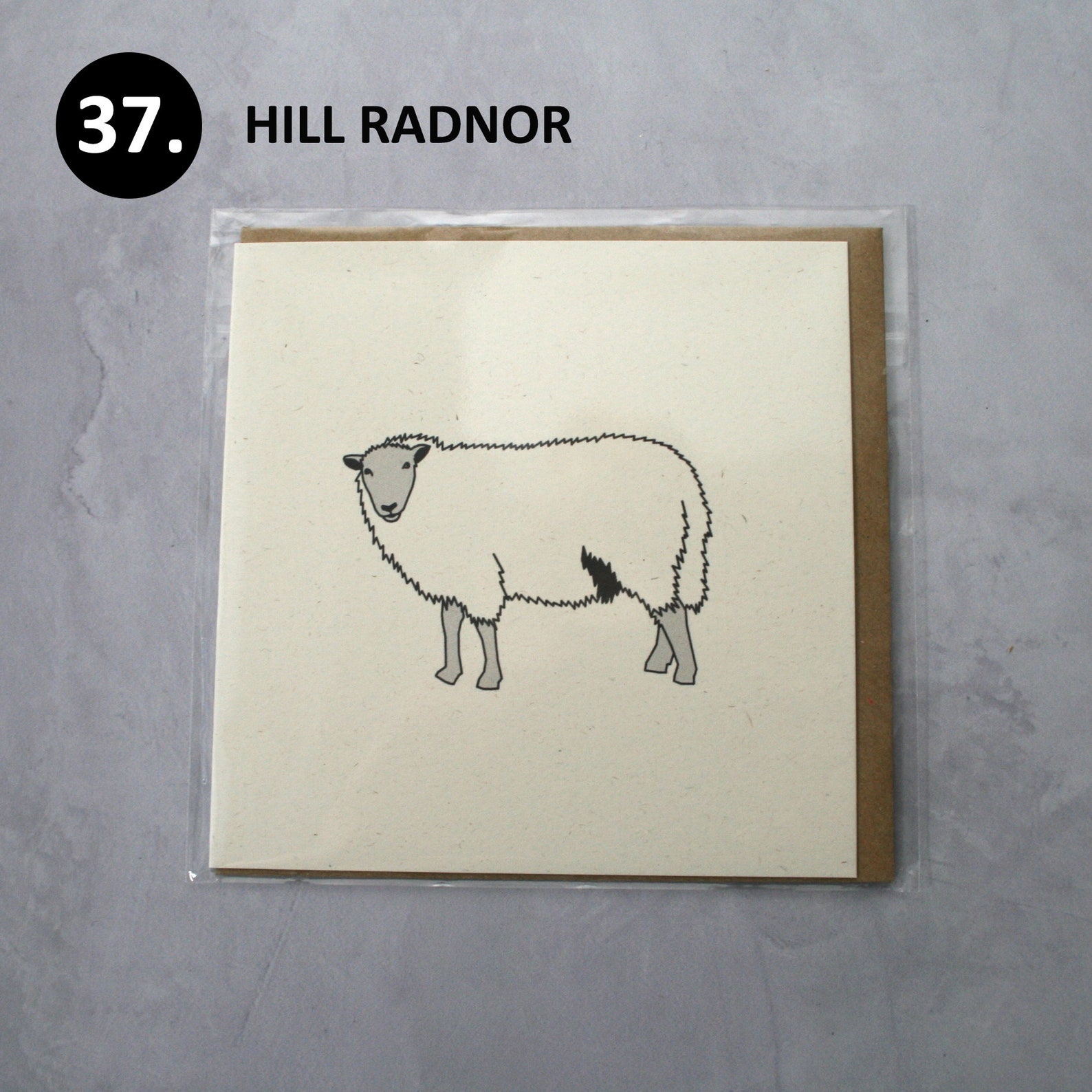 Individual British Sheep Breed Card - Etsy