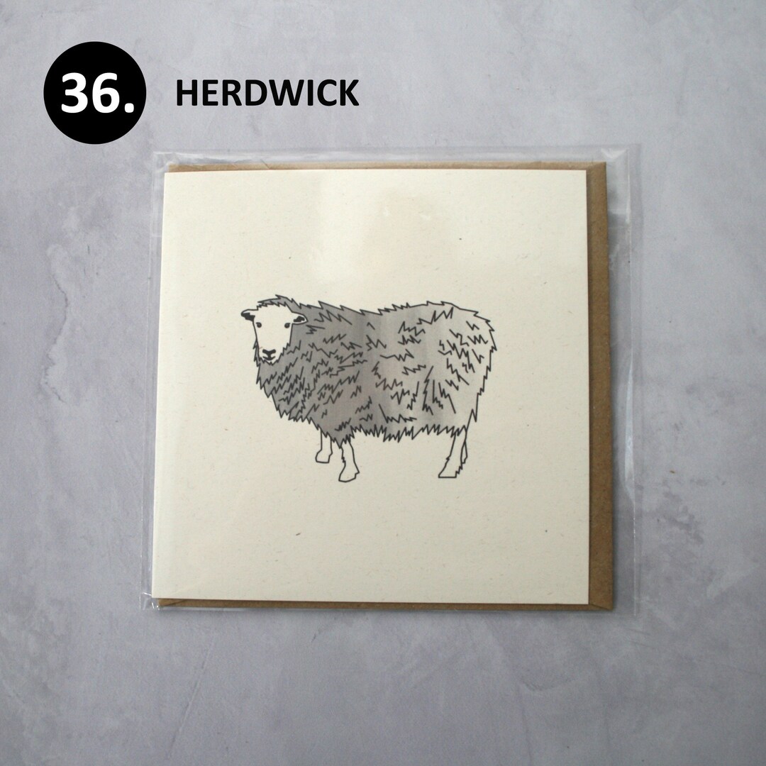 Individual British Sheep Breed Card - Etsy