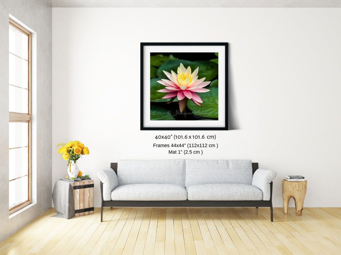 Ivory Lotus - Etsy
