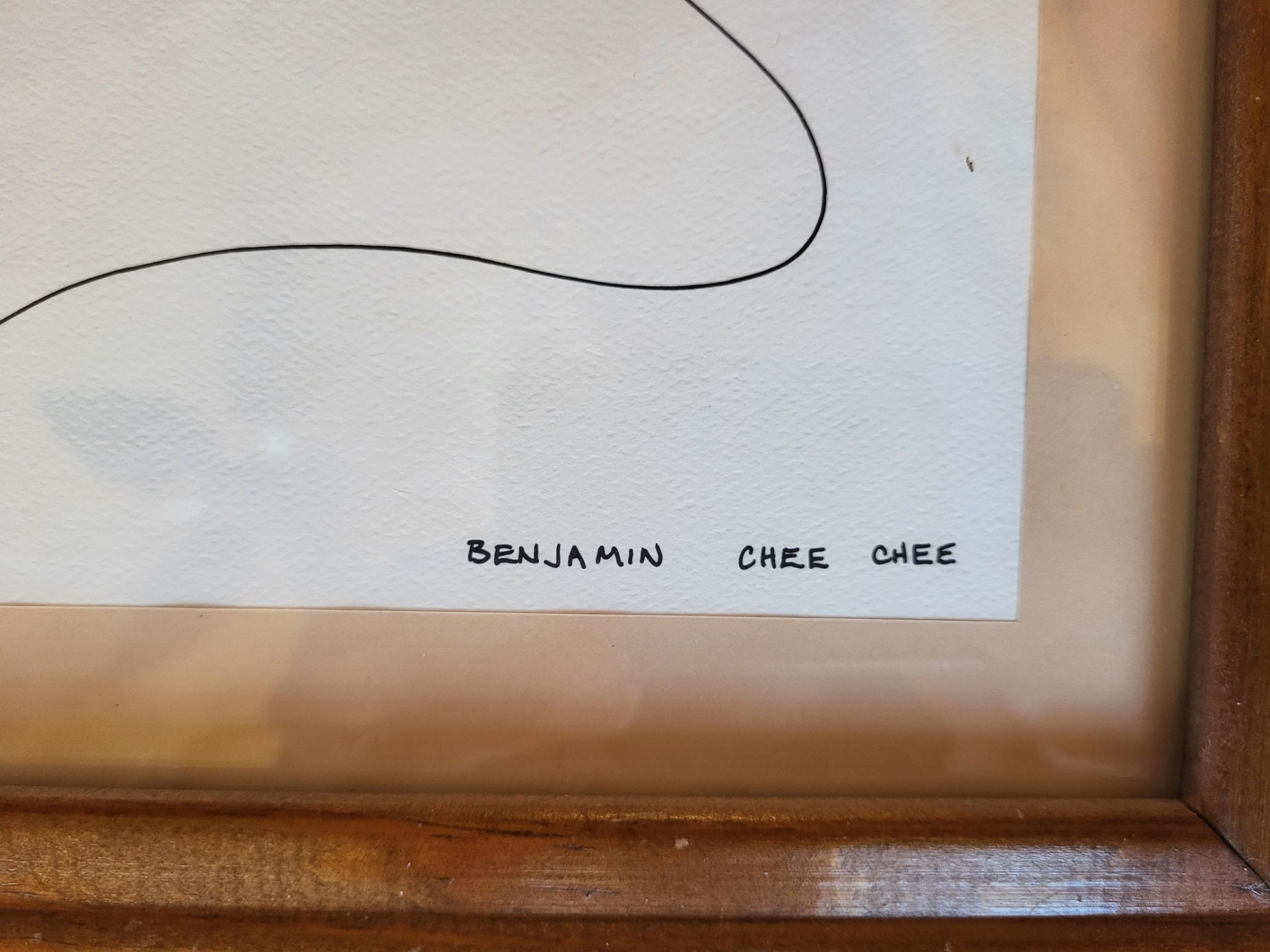 Vintage Proud Male by Benjamin Chee Chee Framed Print - Etsy