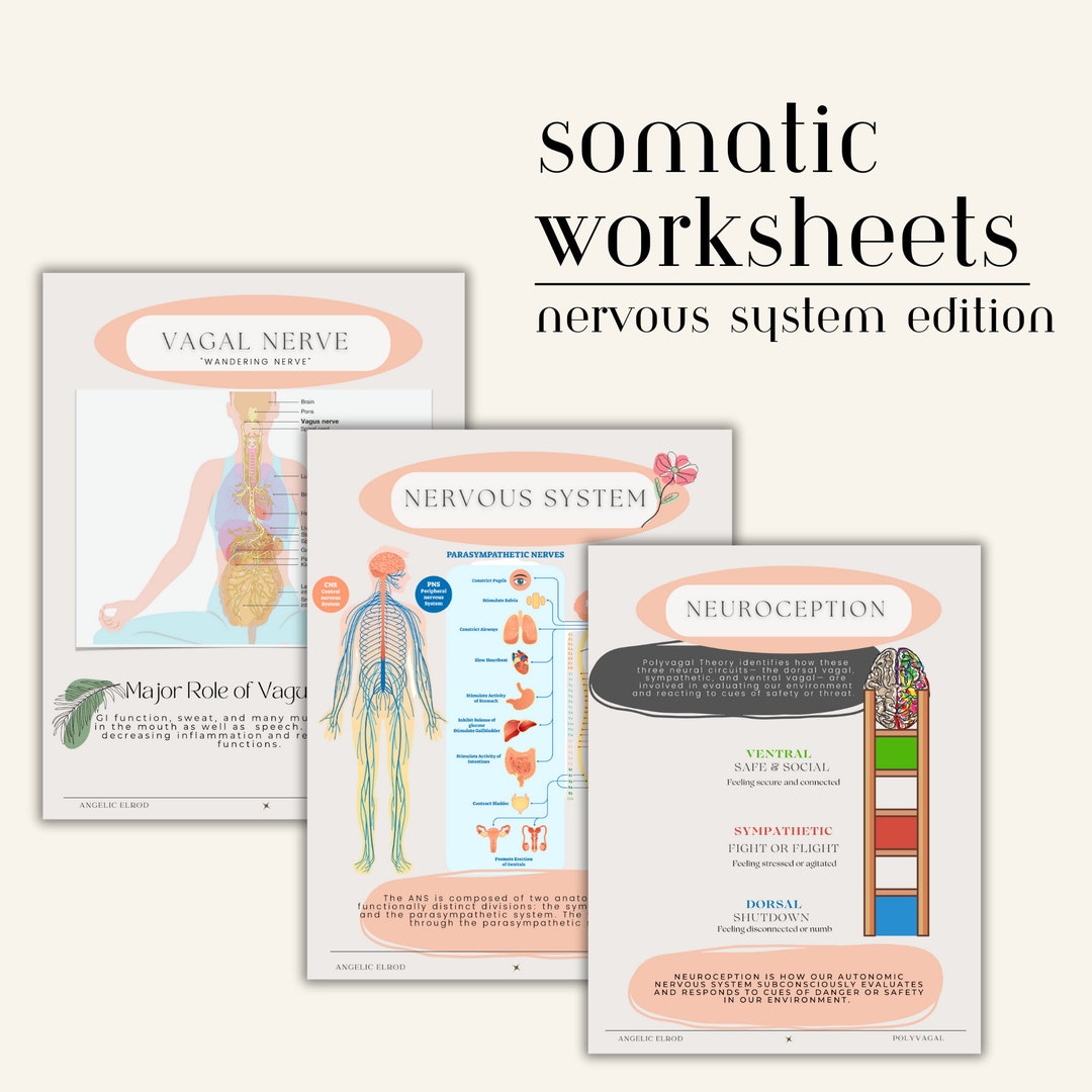 Somatic Worksheets Vagal Nerve Activity Sheets Printable - Etsy