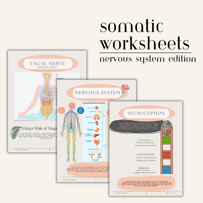Somatic Worksheets Vagal Nerve Activity Sheets Printable - Etsy
