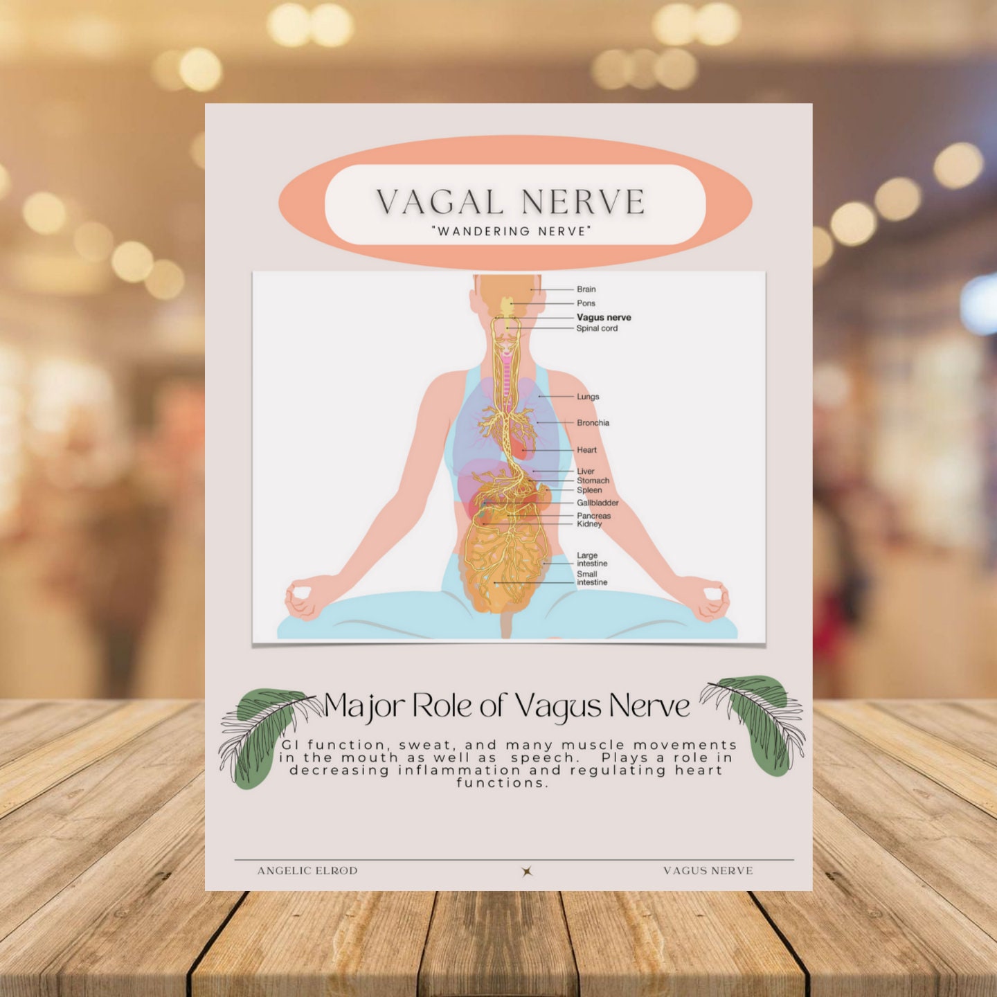 Somatic Worksheets Vagal Nerve Activity Sheets Printable - Etsy Australia