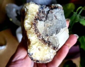 Septarian Concretion BIG Raw Unbroken and Uncut Septarian - Etsy