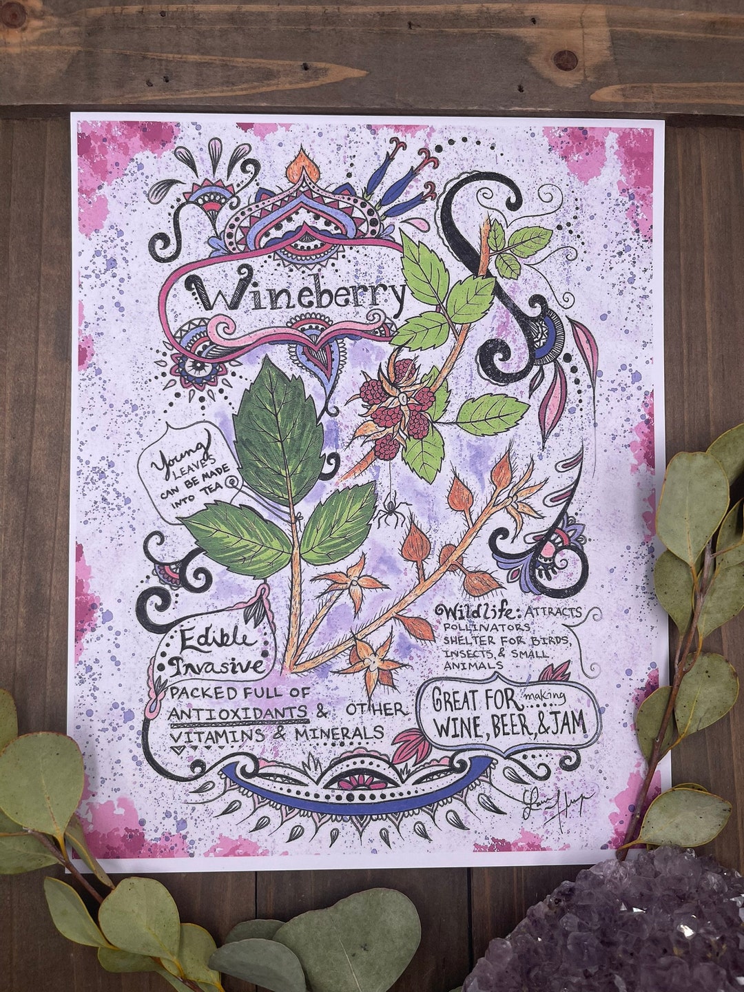 Wild Berry Botanical Infographic Art Print - Etsy
