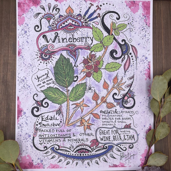 Wineberry - Etsy