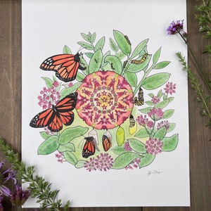 Monarch Butterfly Life Cycle Art Print - Etsy