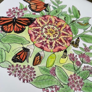 Monarch Butterfly Life Cycle Art Print - Etsy