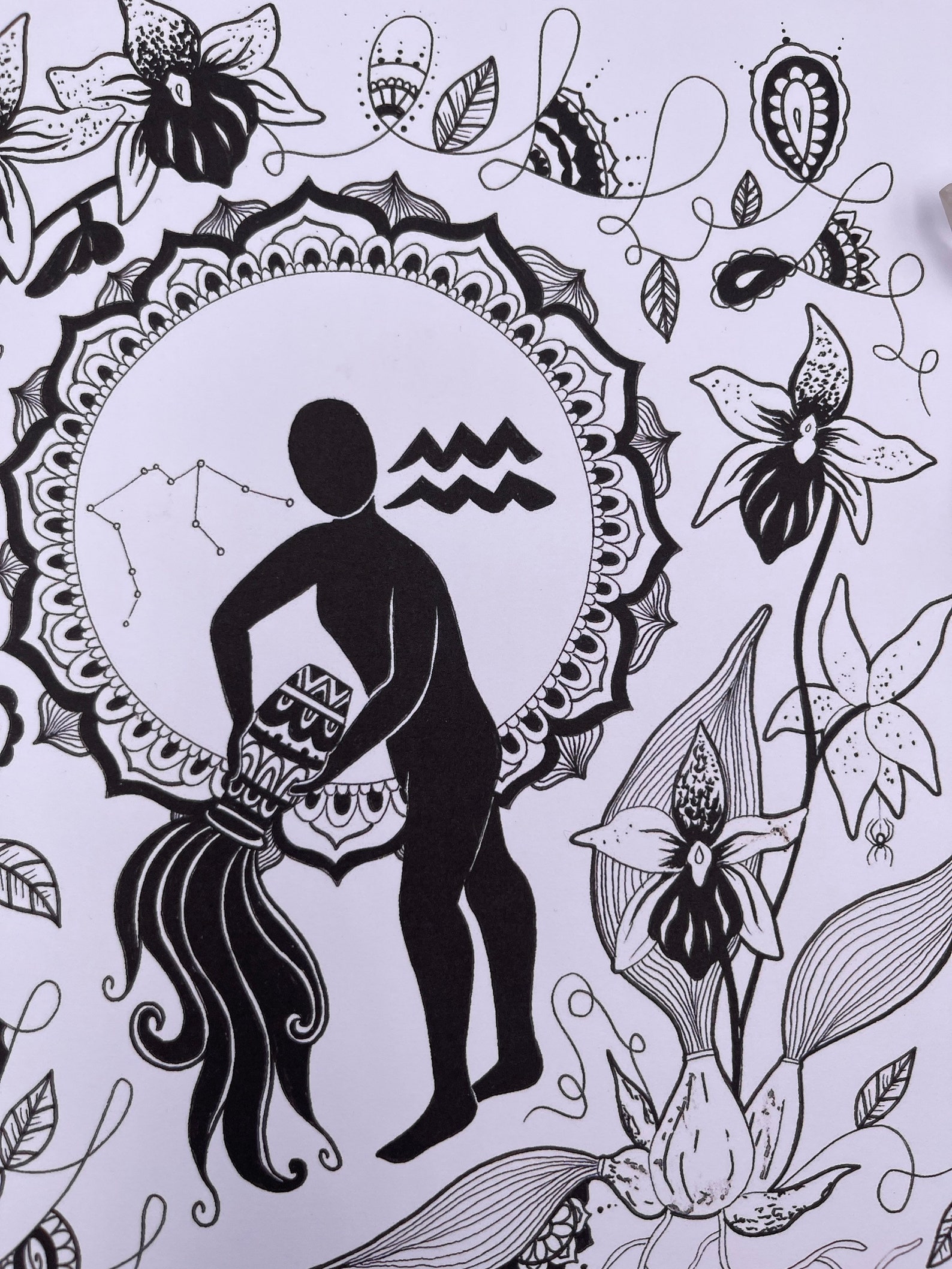 Aquarius Zodiac Illustration Art Print | Etsy