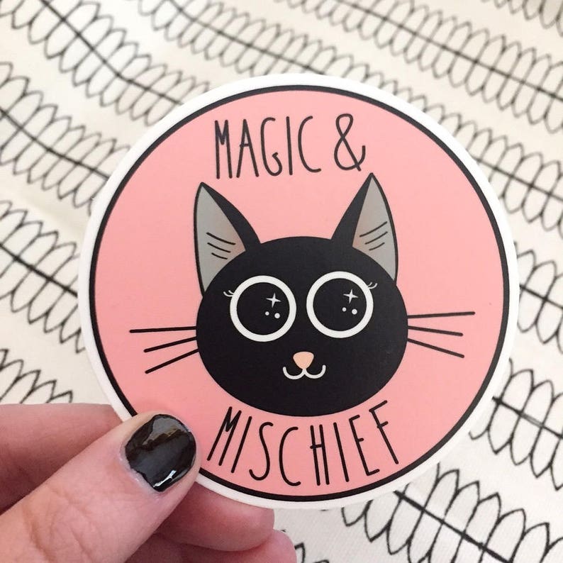 Funny Sticker. Vinyl Sticker. Cute Sticker. Cat Sticker. - Etsy