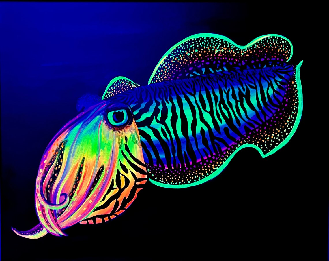 Cuttlefish Artwork - Etsy