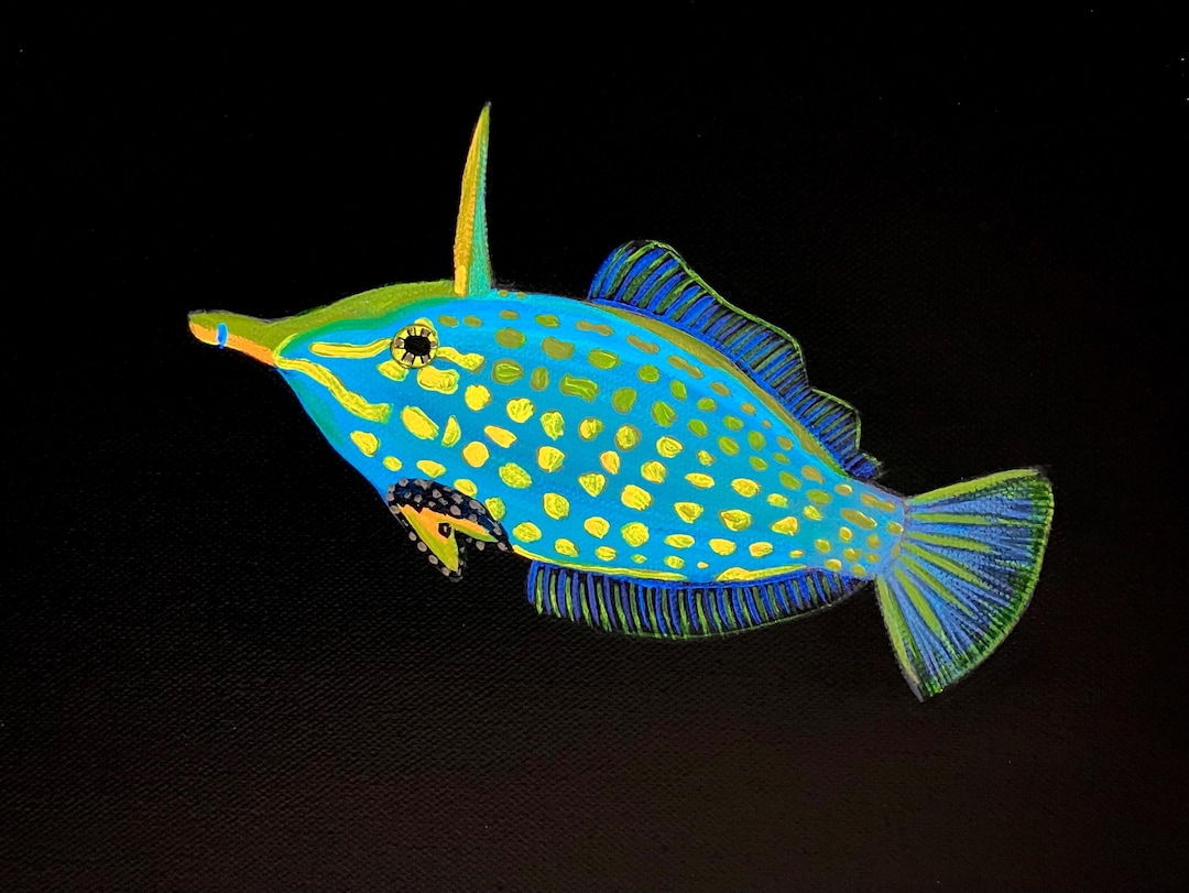 Orange Spotted Filefish Original Canvas Painting - Etsy